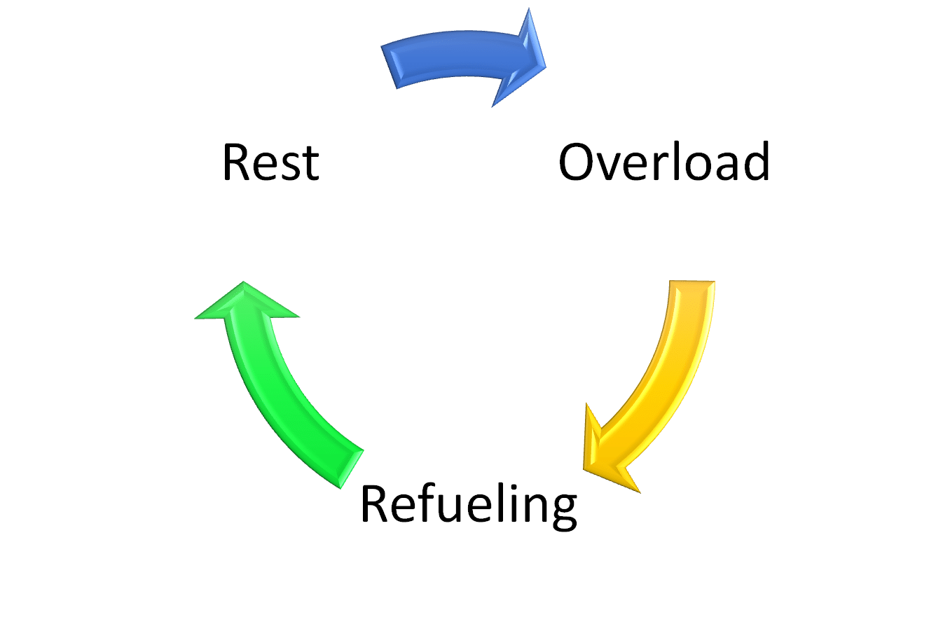 Rest and Recovery: Why It's Important for Senior Triathletes * Senior ...