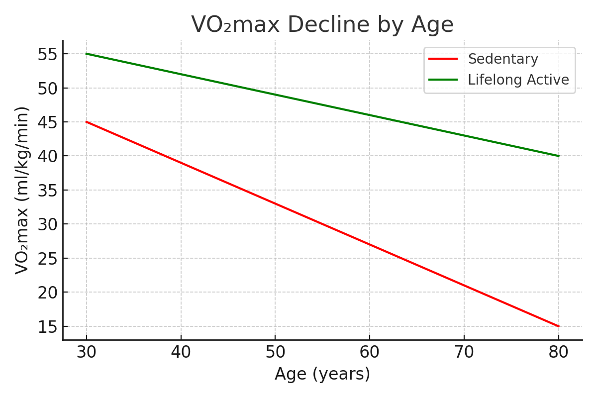 How to Reduce VO2max Decline for Older Male and Female Triathletes ...